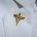 Gold Caduceus Lapel Pin- CC599G- Pharmacy, Medicine, Hospital, and ...