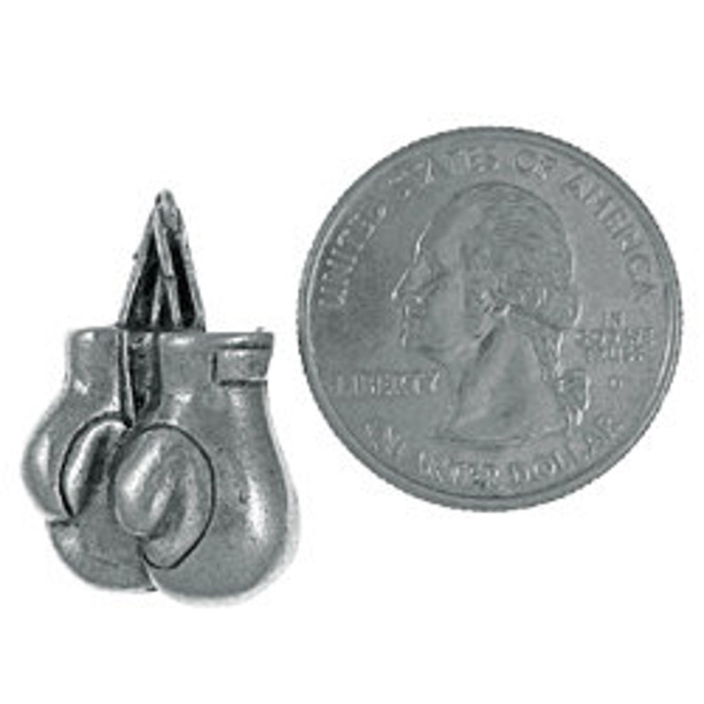 Boxing Gloves Lapel Pin CC274 Boxing Gyms Exercise | Etsy