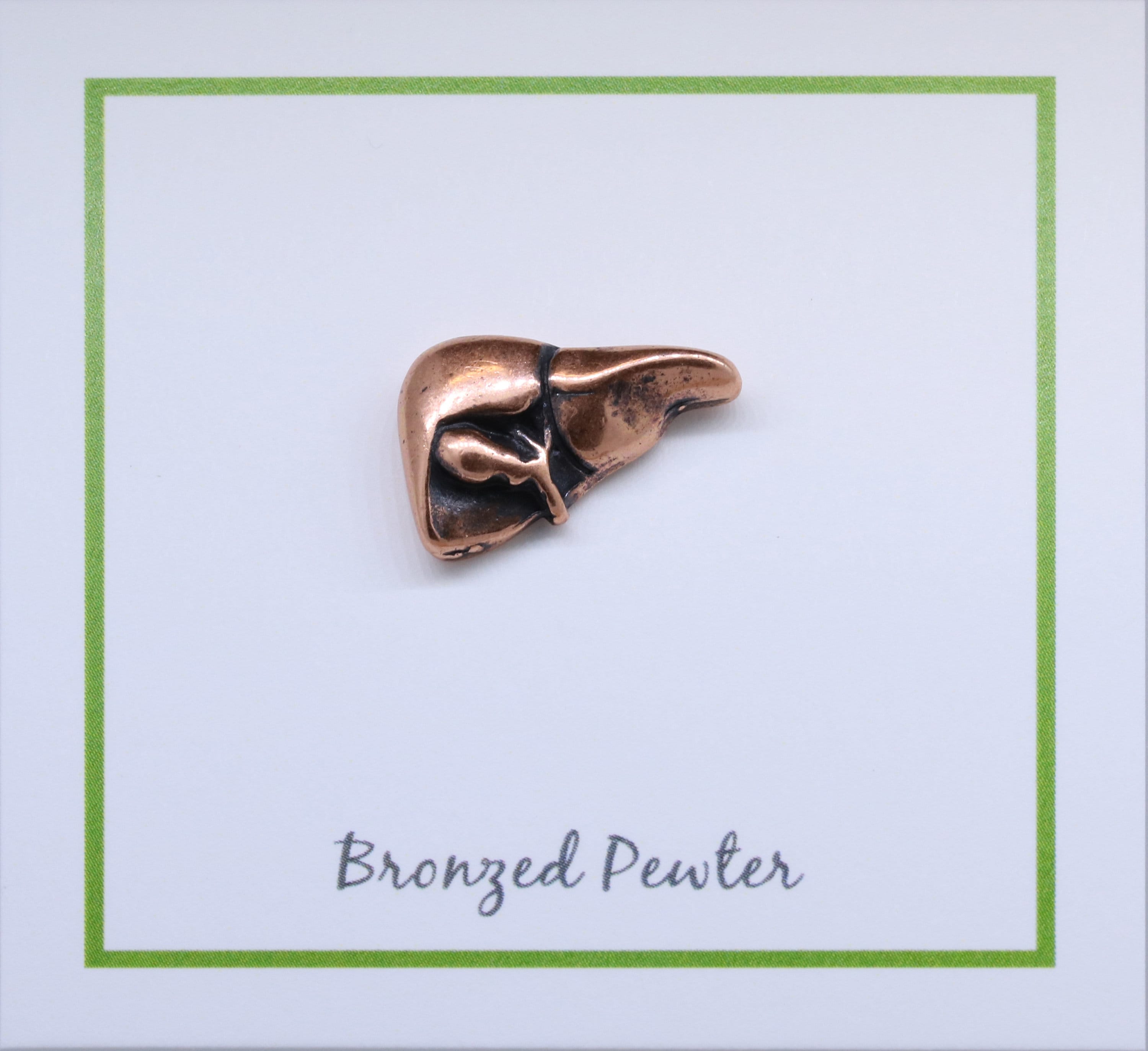 Copper Liver Lapel Pin- CC519C- Medical and Anatomy Lapel Pins for ...