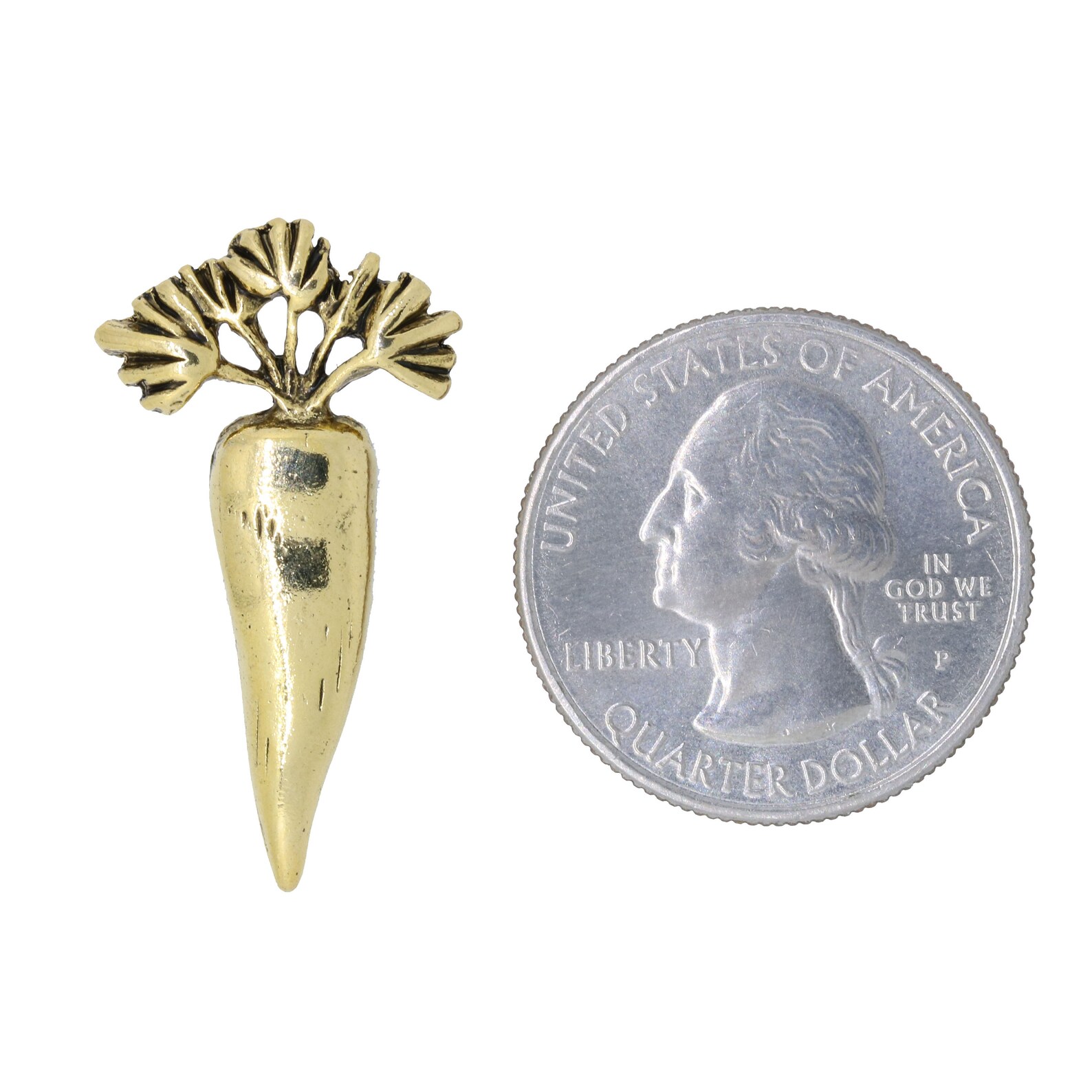 Gold Carrot Lapel Pin-cc312g Vegetable and Veggie Pins in the - Etsy