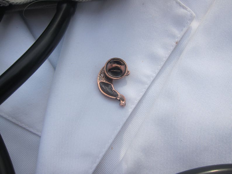 Copper Stomach Lapel Pin- CC619C- Medical and Anatomy Pins- Digestion ...