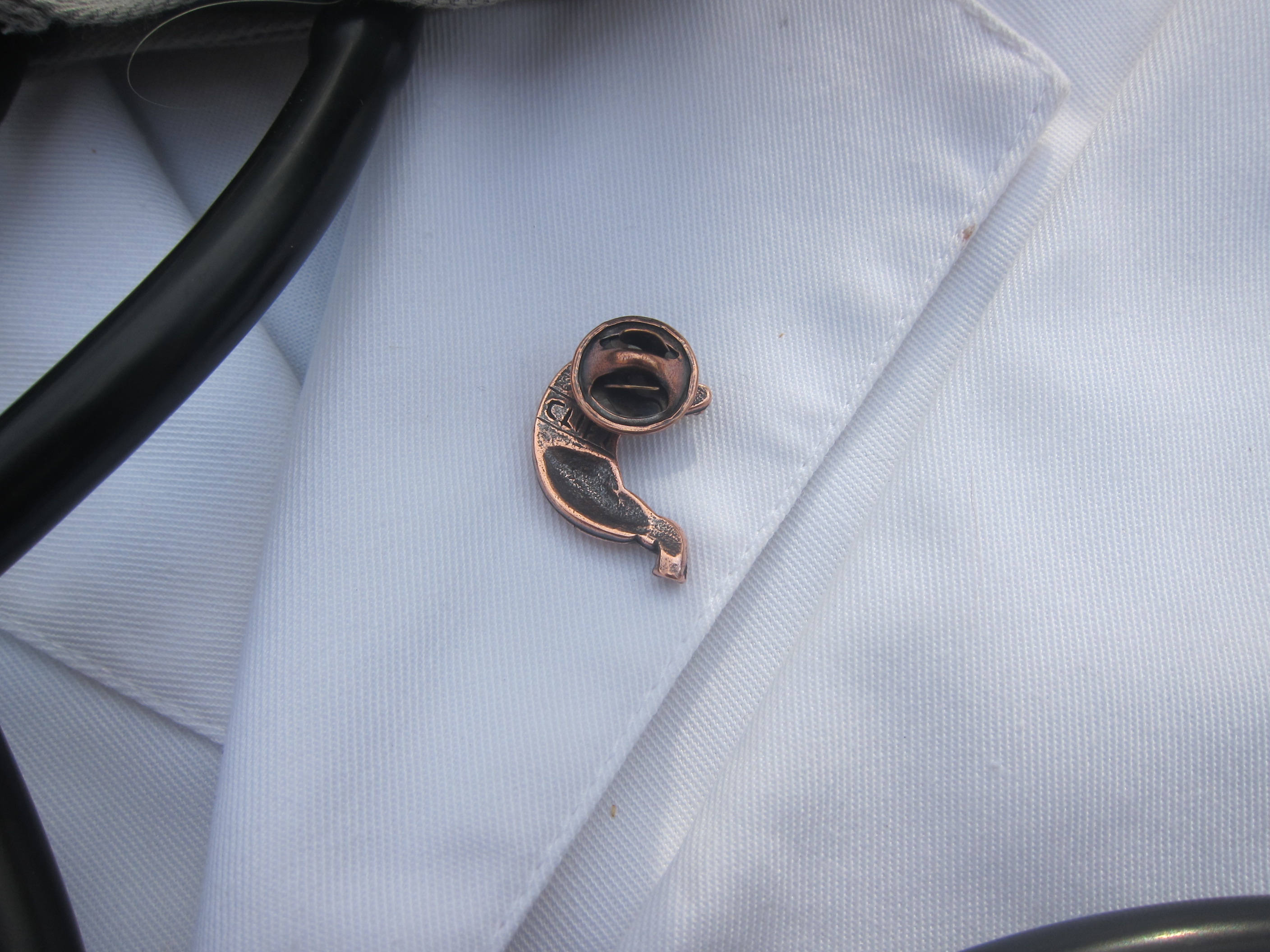 Copper Stomach Lapel Pin- CC619C- Medical and Anatomy Pins- Digestion ...