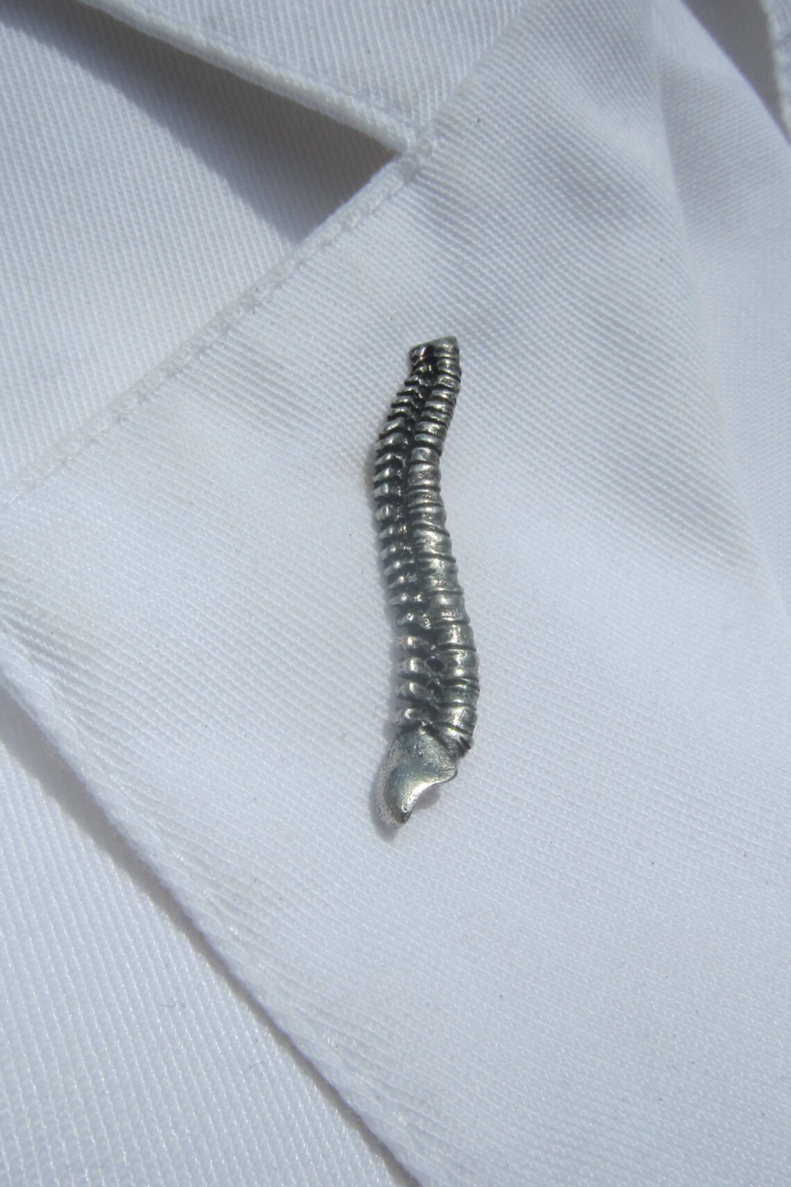 Spine Lapel Pin CC518 Chiropractor Gifts Medical and - Etsy