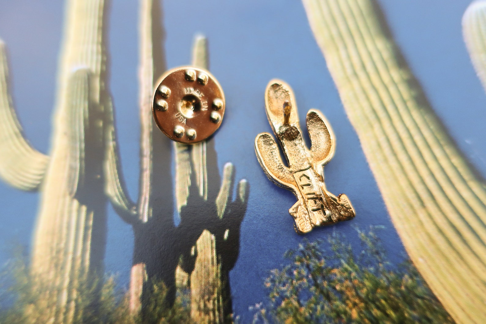 Gold Cactus Lapel Pin-CC488G Arizona Desert and Cactus Pins | Etsy