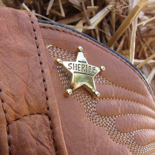 Gold Sheriff Star Lapel Pin-cc556g Sheriff Police and | Etsy