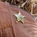 Gold Sheriff Star Lapel Pin-cc556g- Sheriff, Police, and Costume Pins ...