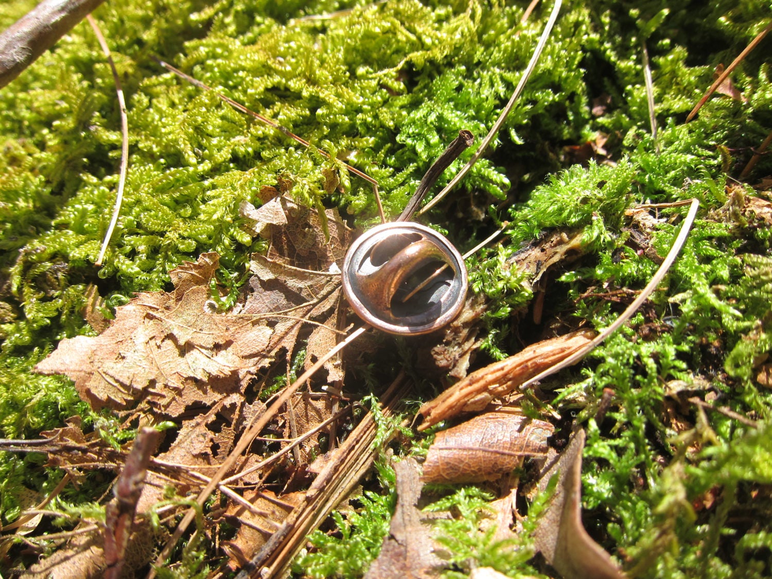 Copper Oak Tree Lapel Pin CC363C Oak Tree Nature and | Etsy