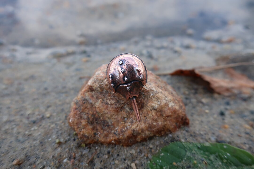 Copper Horseshoe Crab Lapel Pin- CC123C- Ocean, Beach, Sea Side, Marine ...