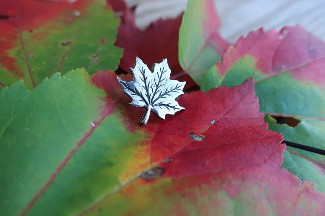 Maple Leaf Pewter Lapel Pin- CC698- Maple Tree, Maples, Canada, and ...