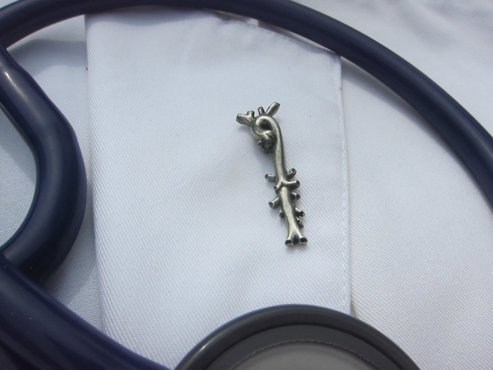 Aorta Lapel Pin-cc601 Medical and Human Anatomy Pins for | Etsy