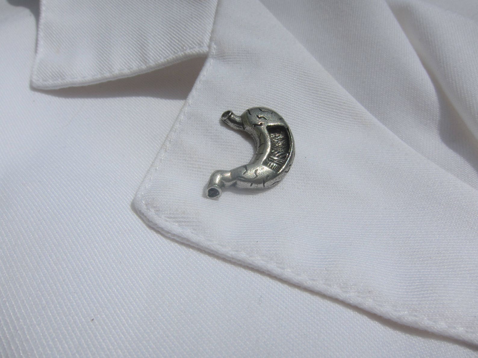 Stomach Lapel Pin CC619 Medical and Anatomy Pins Digestion | Etsy