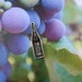 Wine Bottle Lapel Pin CC261 Vineyard Pins and Gifts Winery Accessories ...
