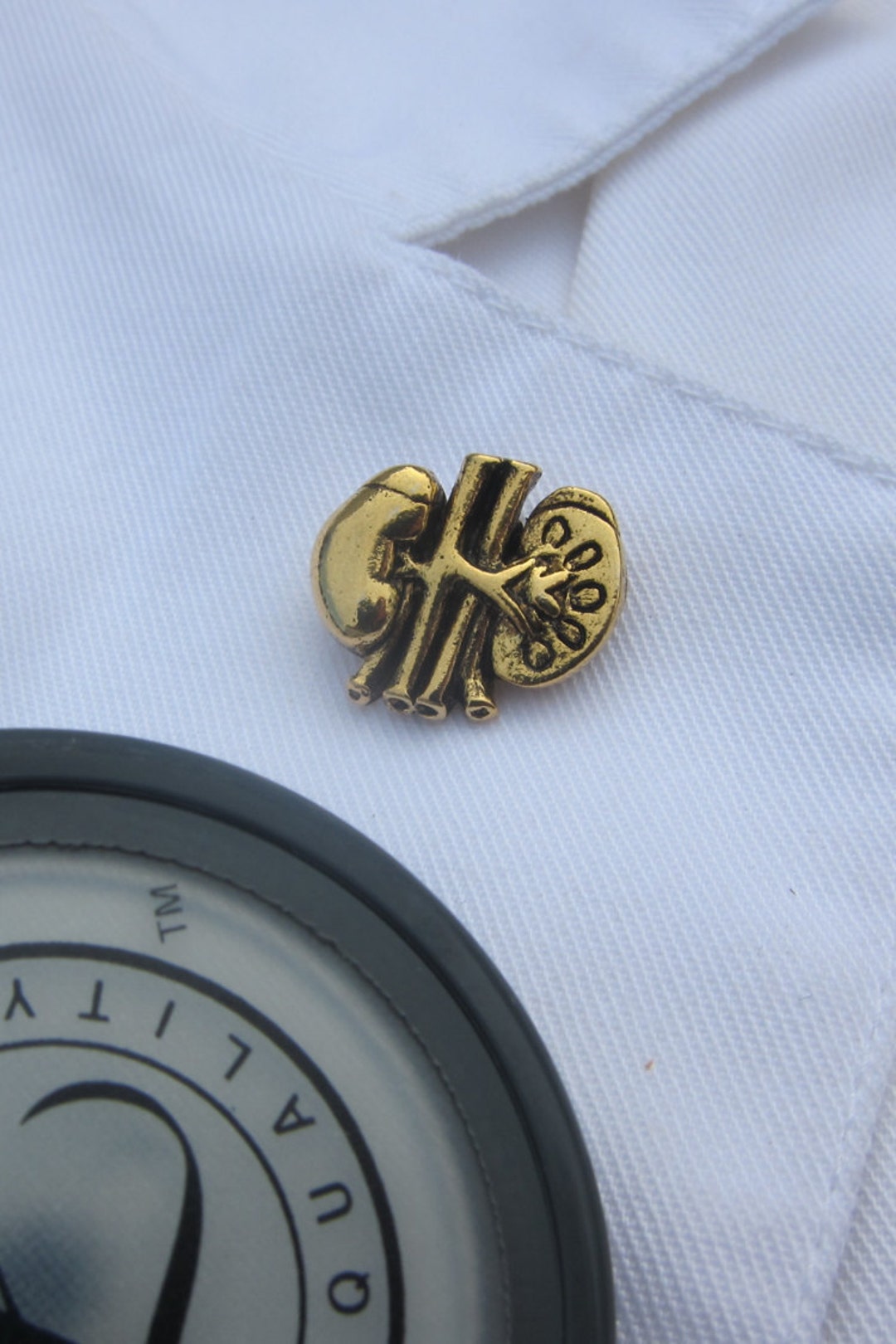Gold Kidney Lapel Pin- CC391G- Medical Pins for Nephrology Nurses ...