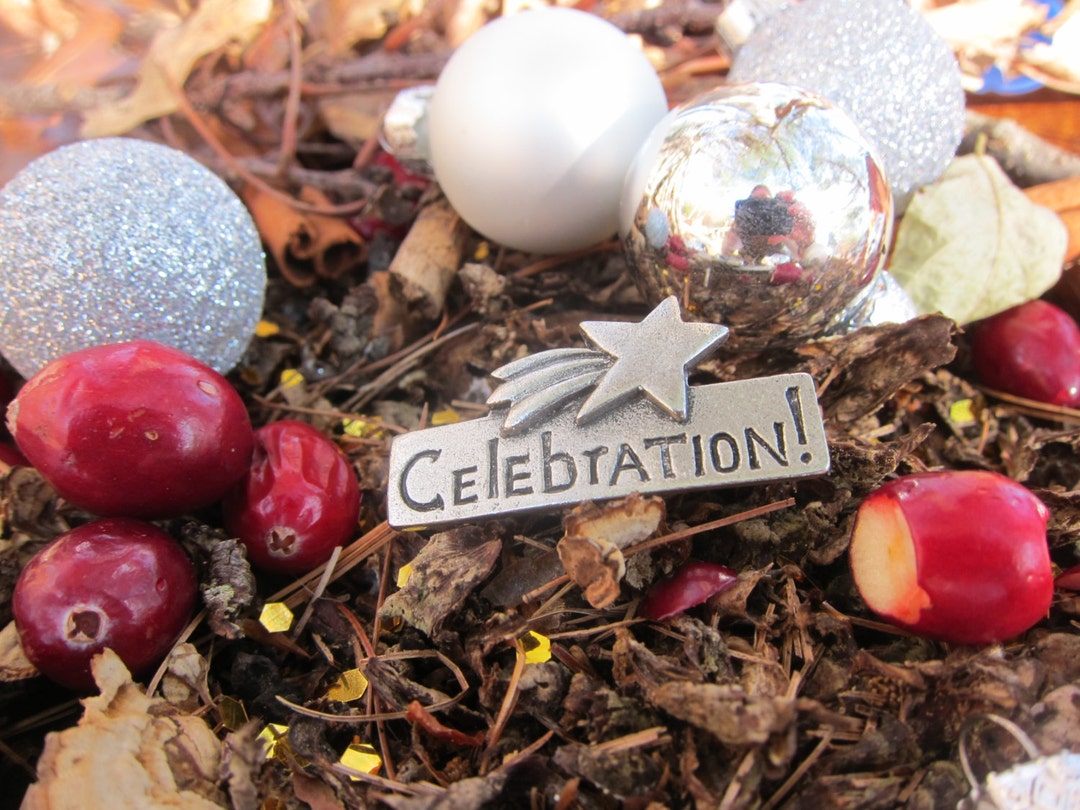 Celebration Lapel Pin- CC616- Celebration, Celebrate, Party Pins - Etsy