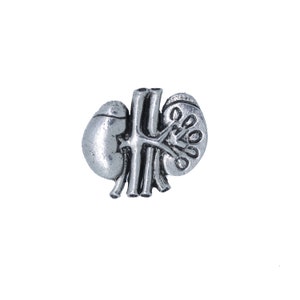 Kidneys Lapel Pin - CC391- Medical Pins for Doctors and Nurses ...