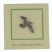 Seagull Lapel Pin CC119 Ocean Beach Marine Wildlife and - Etsy