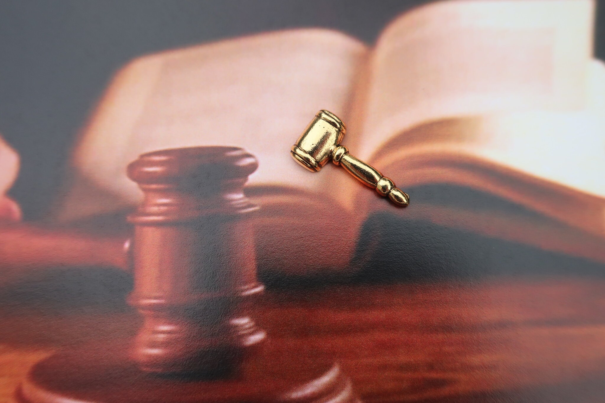 Gold Gavel Lapel Pin-cc553g-law, Courts of Law, Succession, Mallet, and ...