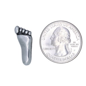 Foot Pewter Lapel Pin- CC468- Foot, Orthopedic, Footprint, and Walk a ...