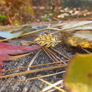 Gold Oak Leaf Lapel Pin- CC485G- Nature, Hiking, Tree, and Foliage Pins ...