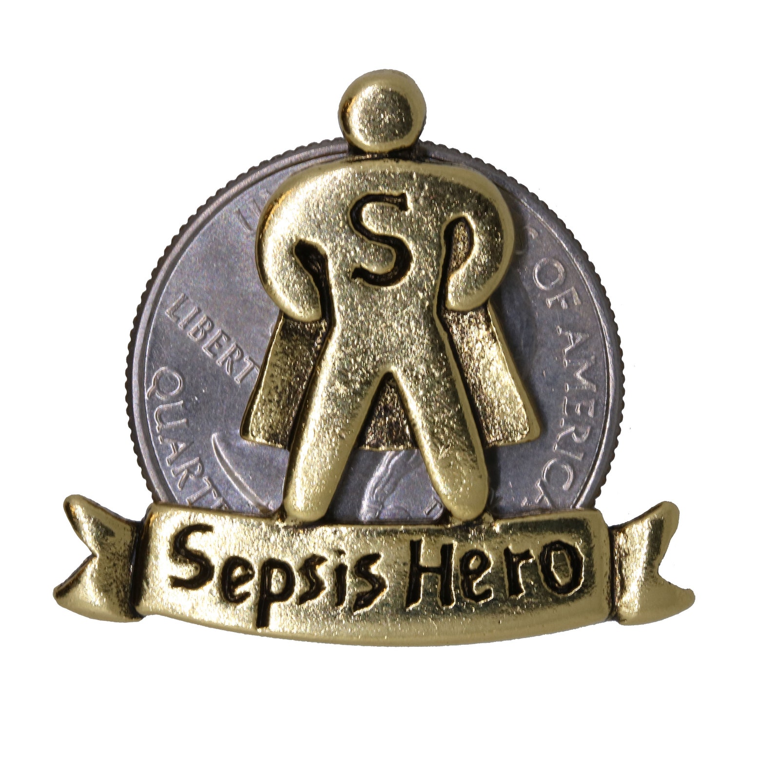 Sepsis Hero Gold Dipped Pewter Lapel Pin CC677G Recognizing - Etsy