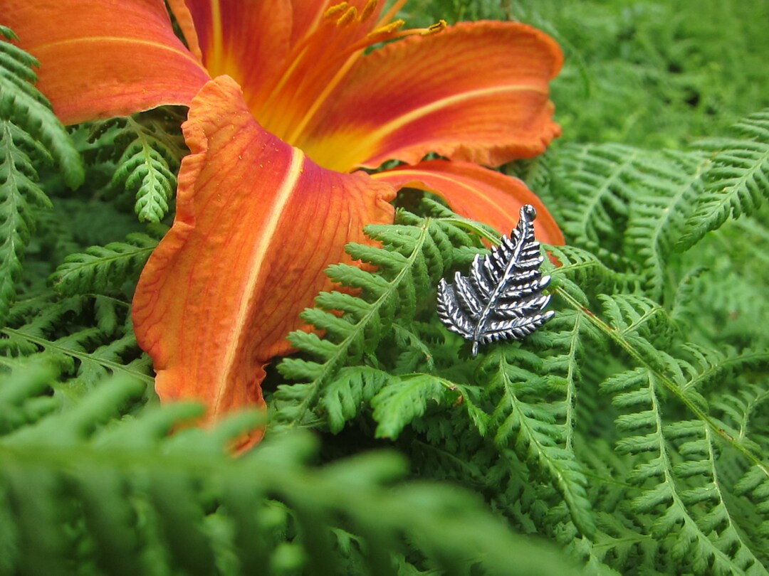 Fern Lapel Pin - CC496- Plant and Garden Gifts, Pins for Gardeners - Etsy