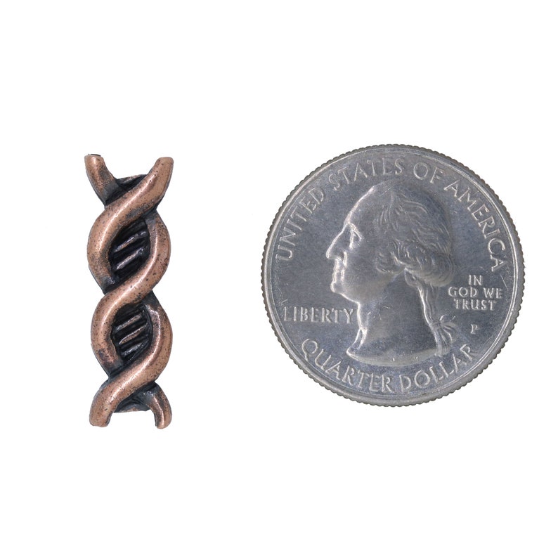Copper DNA Lapel Pin CC577C Science and Genetics Pins and - Etsy