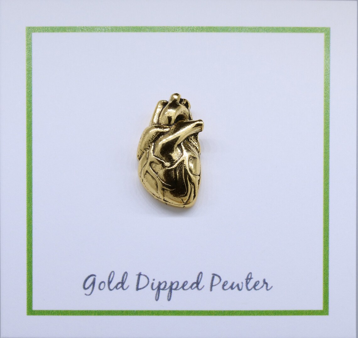 Gold Human Heart Lapel Pin CC389G Medical Anatomy and - Etsy