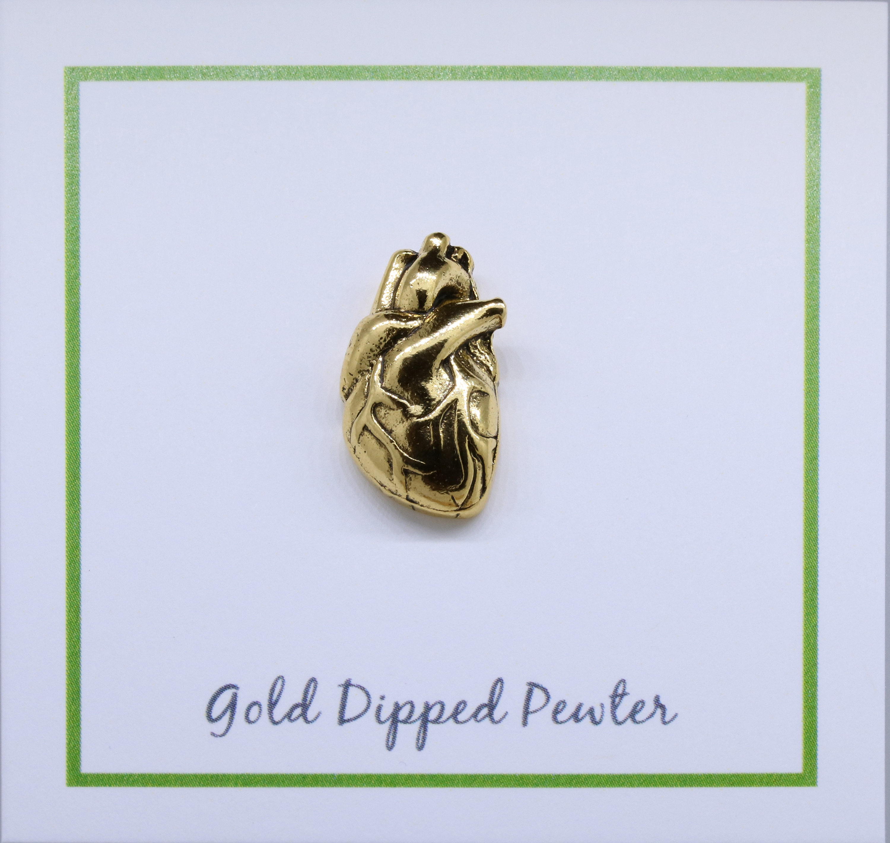 Gold Human Heart Lapel Pin- CC389G- Medical, Anatomy, and Healthcare ...