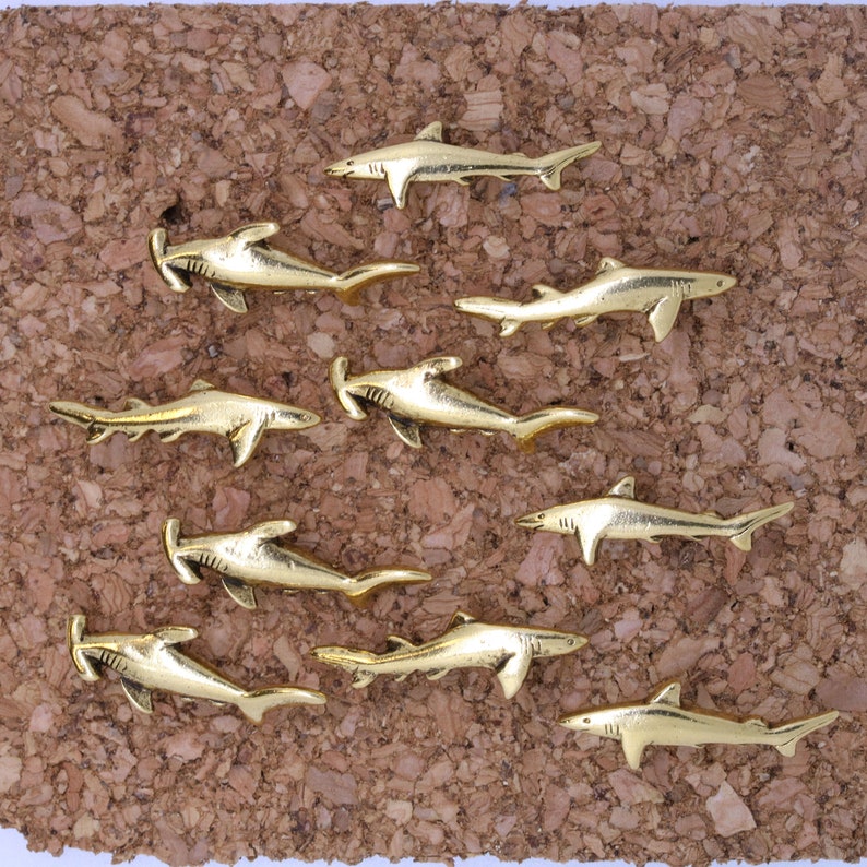 Shark Pushpins- Home Office- Shark Week, Marine Biology, Aquarium, and ...