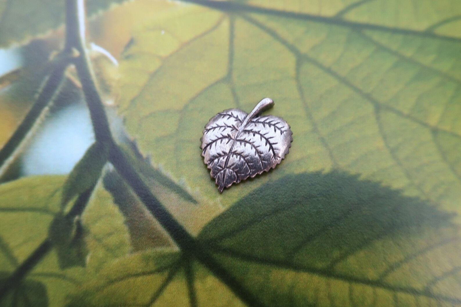 Linden Leaf Lapel Pin - CC516- Linden Leaf, Trees, Plants, Garden, and ...