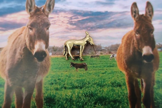 Donkey Gold Dipped Pewter Lapel Pin-cc453g Farm Animals - Etsy