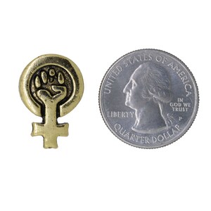 Gold Feminist Power Lapel Pin- CC640G- Votes for Women, Votes, Election ...