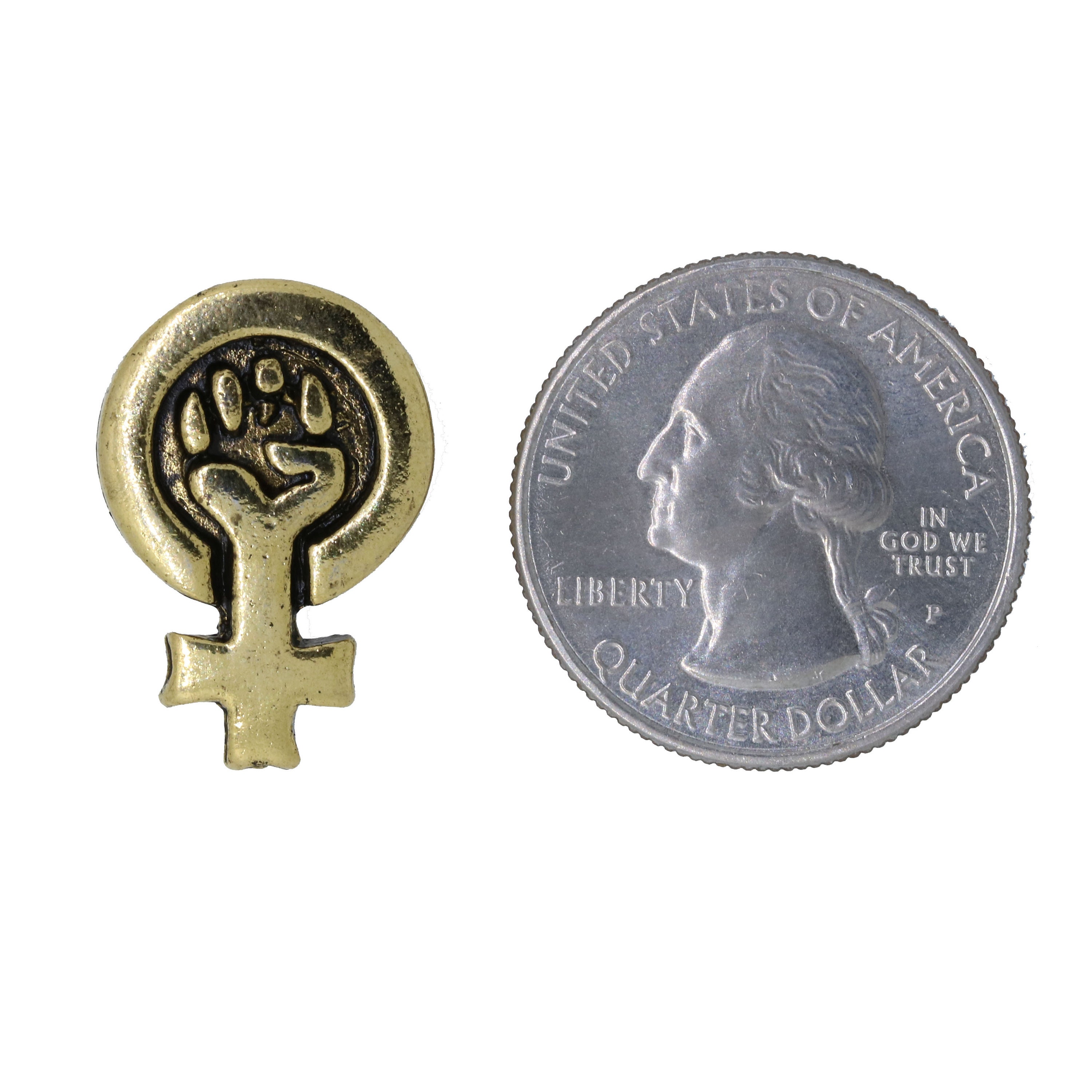 Gold Feminist Power Lapel Pin CC640G Votes for Women Votes - Etsy