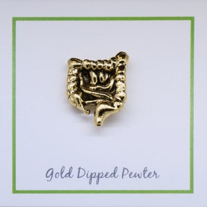 Gold Intestine Lapel Pin- CC346G- Gastrointestinal Pins, Anatomy Pins ...