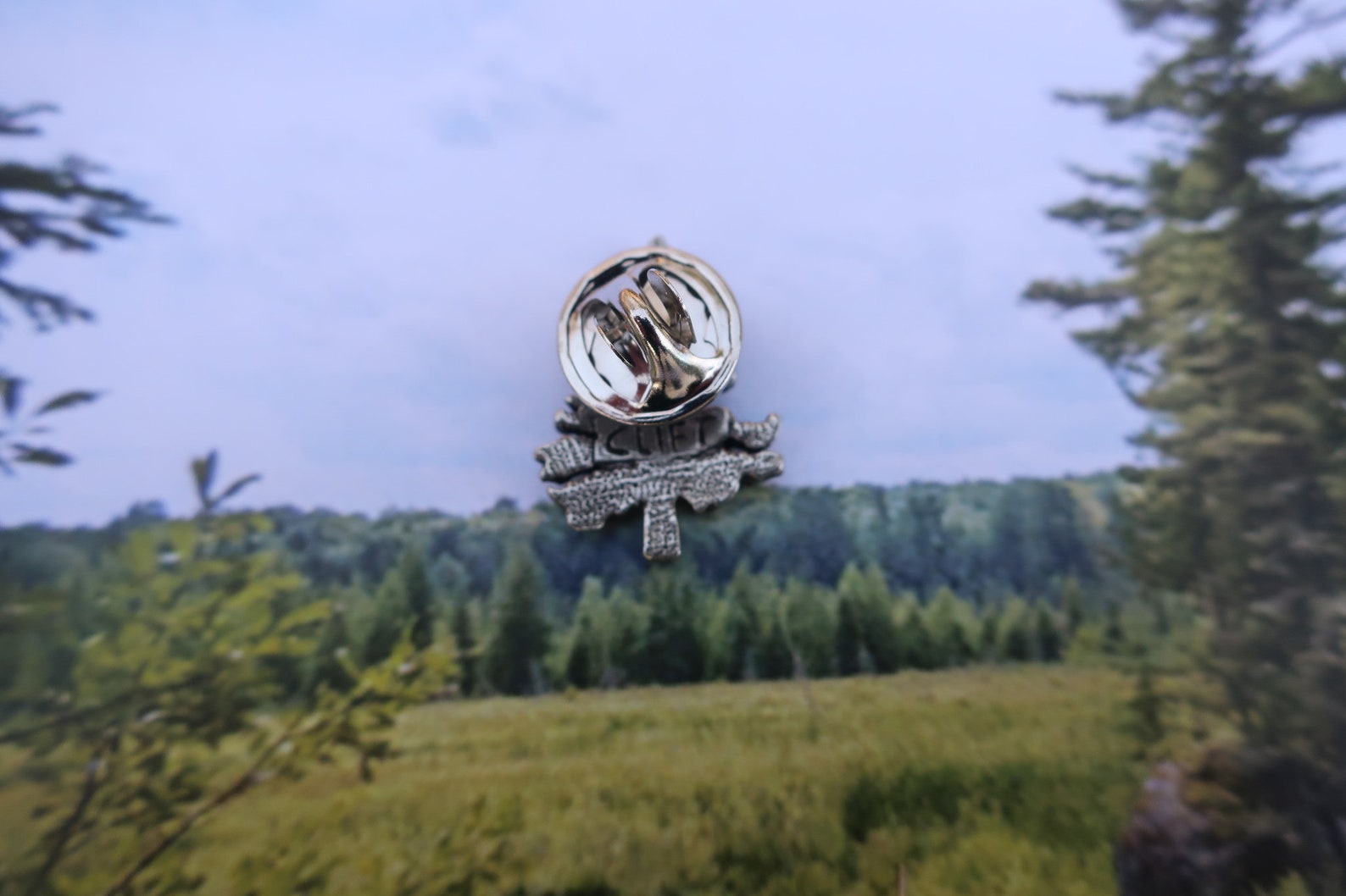 Northern White Pine Lapel Pin CC564 Trees Arborist | Etsy