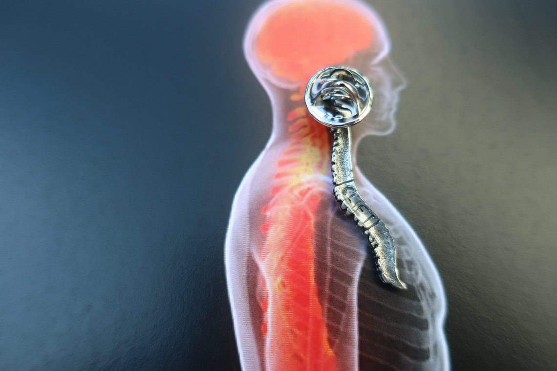 Brain and Spine Pewter Lapel Pin-cc651-brain Spine - Etsy