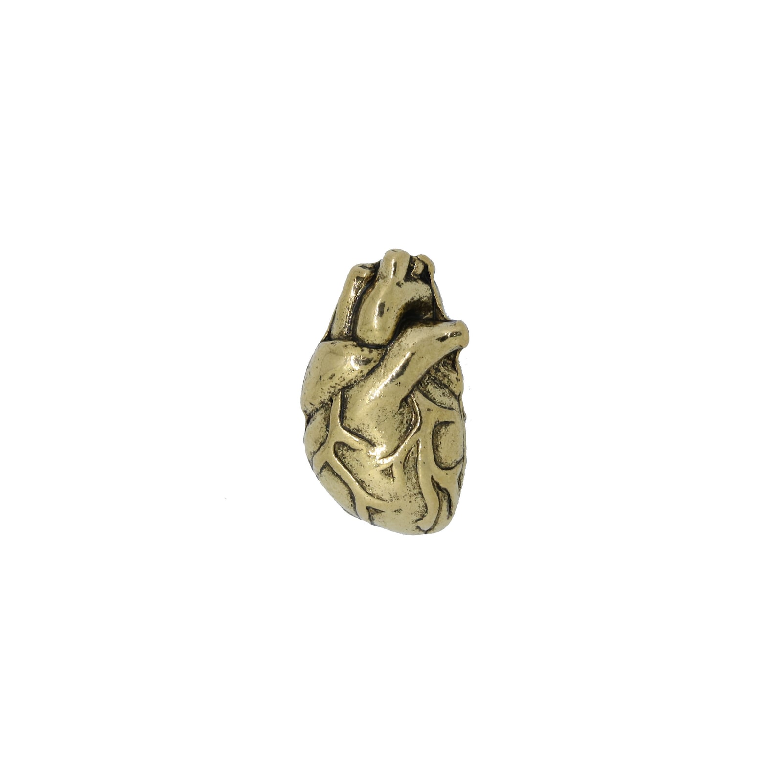 Gold Human Heart Lapel Pin CC389G Medical Anatomy and - Etsy