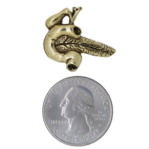 Gold Pancreas Lapel Pin- CC620G- Medical and Anatomy Pins for Nurses ...