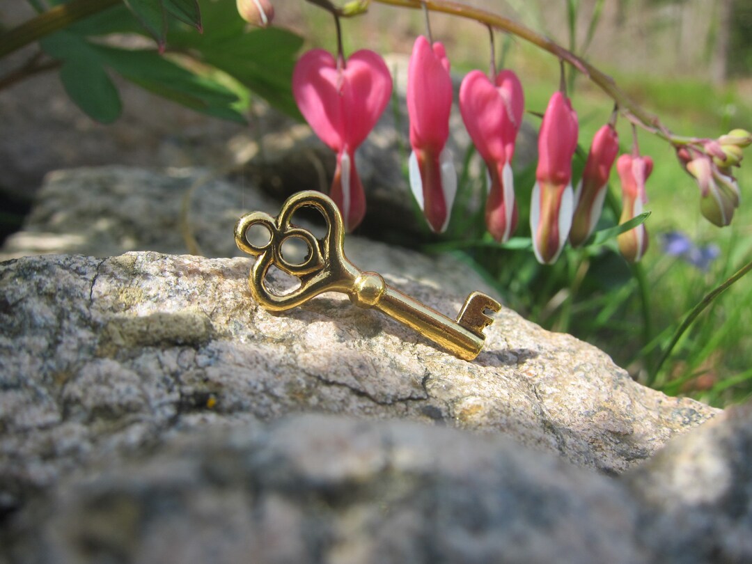Gold Skeleton Key Lapel Pin- CC417G- Skeleton Key, Passkey, Master Key ...