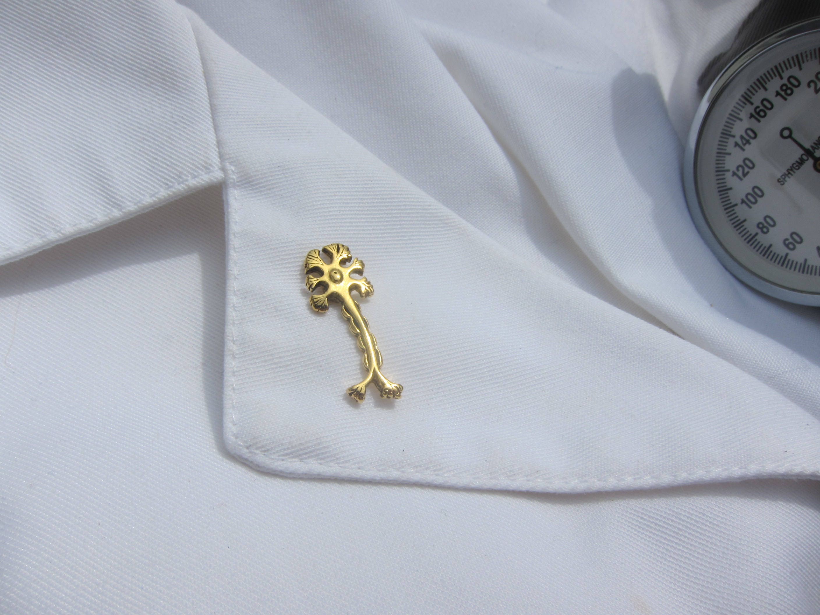 Gold Neuron Lapel Pin CC392G Medical and Neurology Pins for - Etsy