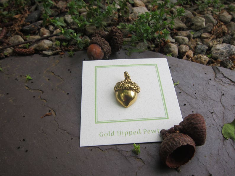 Gold Acorn Lapel Pin-cc292g Nature Woods Hiking Acorn and | Etsy
