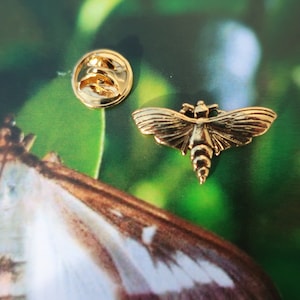Moth Gold Dipped Pewter Lapel Pin- CC659G- Moth, Bugs, Insects, and ...