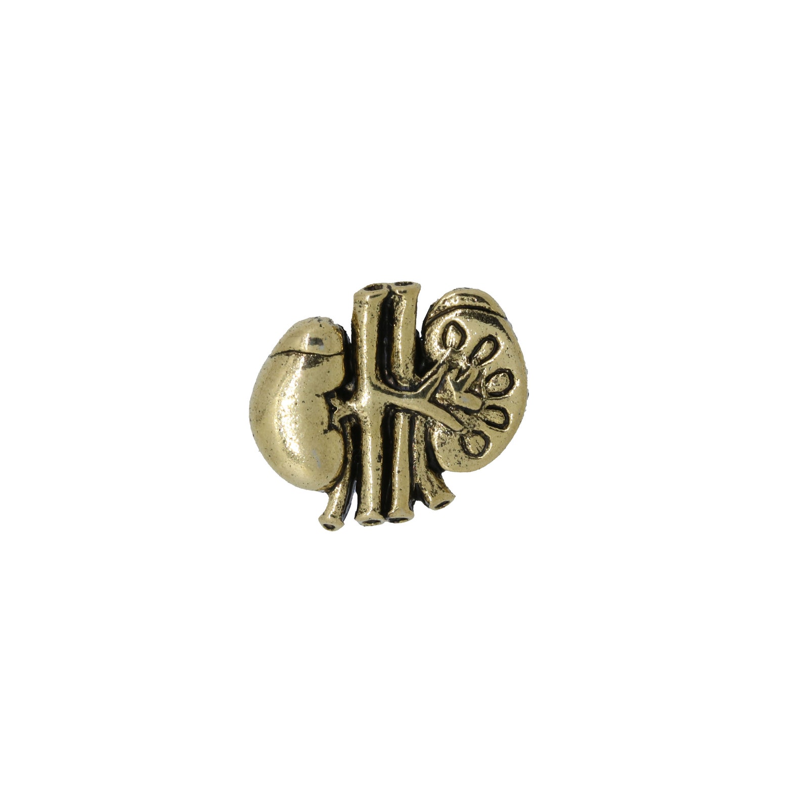 Gold Kidney Lapel Pin CC391G Medical Pins for Nephrology - Etsy