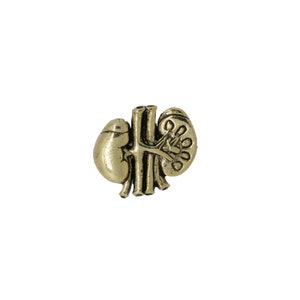 Gold Kidney Lapel Pin- CC391G- Medical Pins for Nephrology Nurses ...