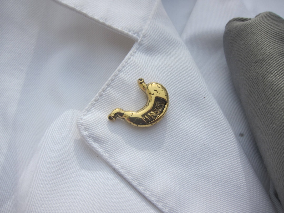 Gold Stomach Lapel Pin- CC619G- Medical and Anatomy Pins- Digestion and ...