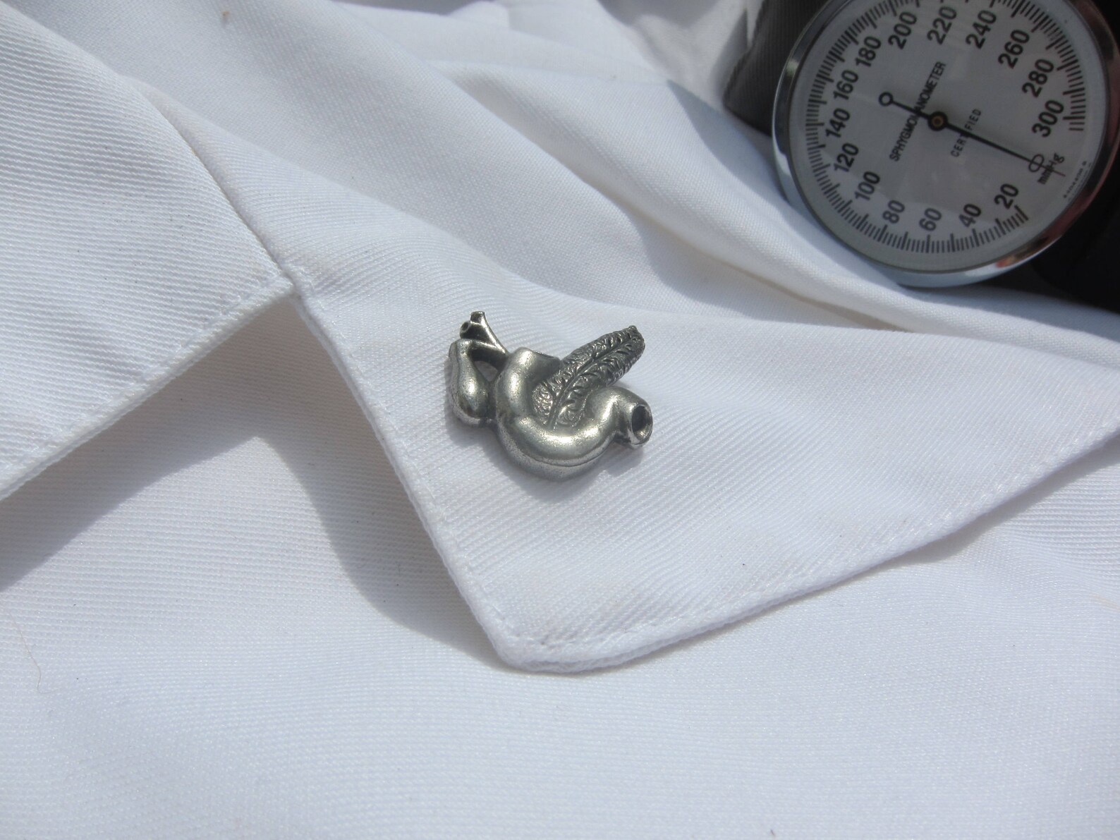 Pancreas Lapel Pin- CC620- Medical and Anatomy Pins for Nurses and ...