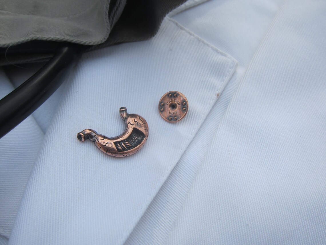 Copper Stomach Lapel Pin- CC619C- Medical and Anatomy Pins- Digestion ...