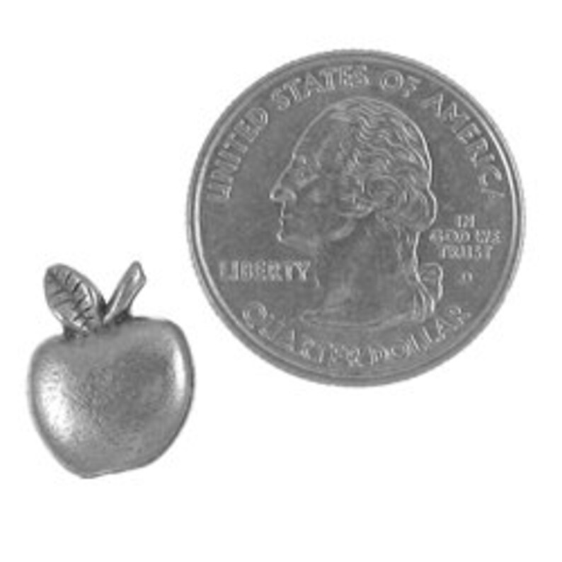 Apple Lapel Pin CC121 Teacher Education and School Pins | Etsy