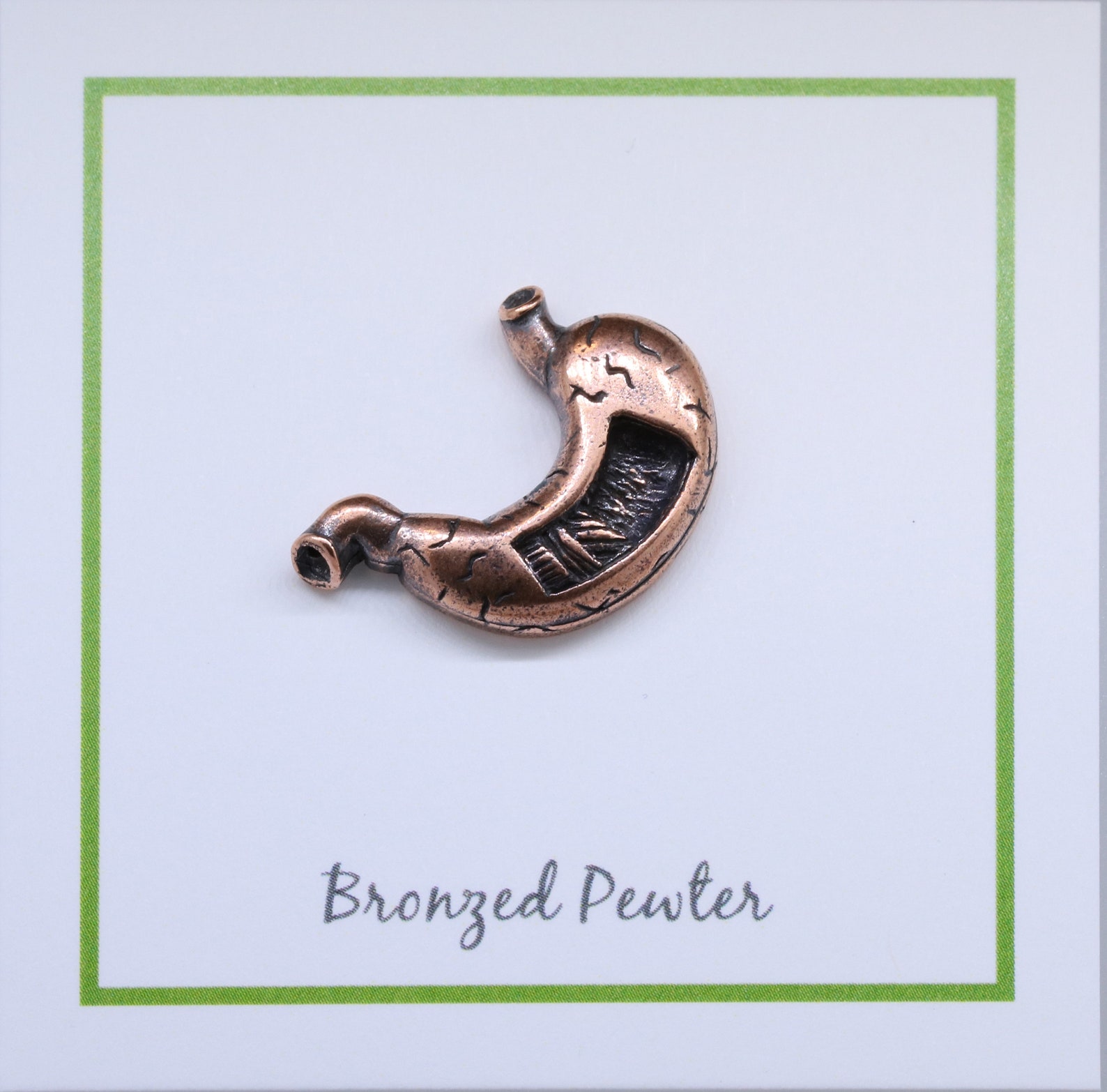 Copper Stomach Lapel Pin- CC619C- Medical and Anatomy Pins- Digestion ...