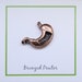 Copper Stomach Lapel Pin- CC619C- Medical and Anatomy Pins- Digestion ...